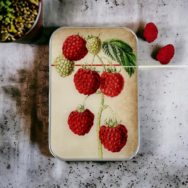 Raspberry LARGE, Notions tin, Stitch marker tin - Firefly Notes