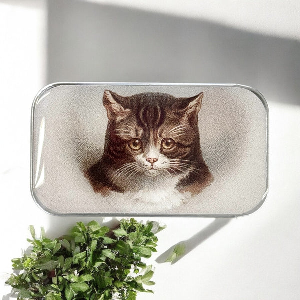 Cat Notions Tin (Handcrafted, Resin Coated) - Firefly Notes