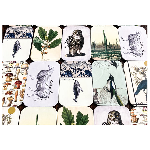 Ready to ship assorted packs - Firefly Notes